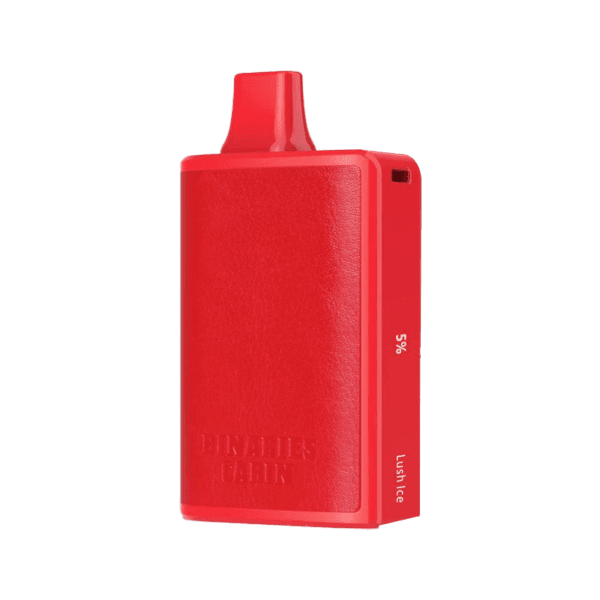 Best Disposable Vapes in 2024