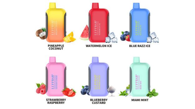 LUFFBAR Dually 20000 Puffs Disposable Vape - Vape Prices