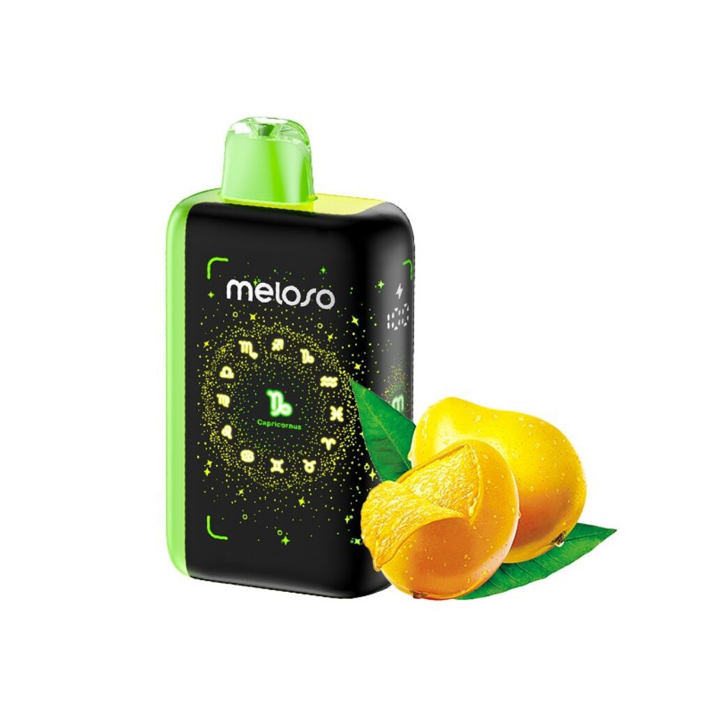 Geek Bar Meloso 30K Disposable Vape - Vape Prices